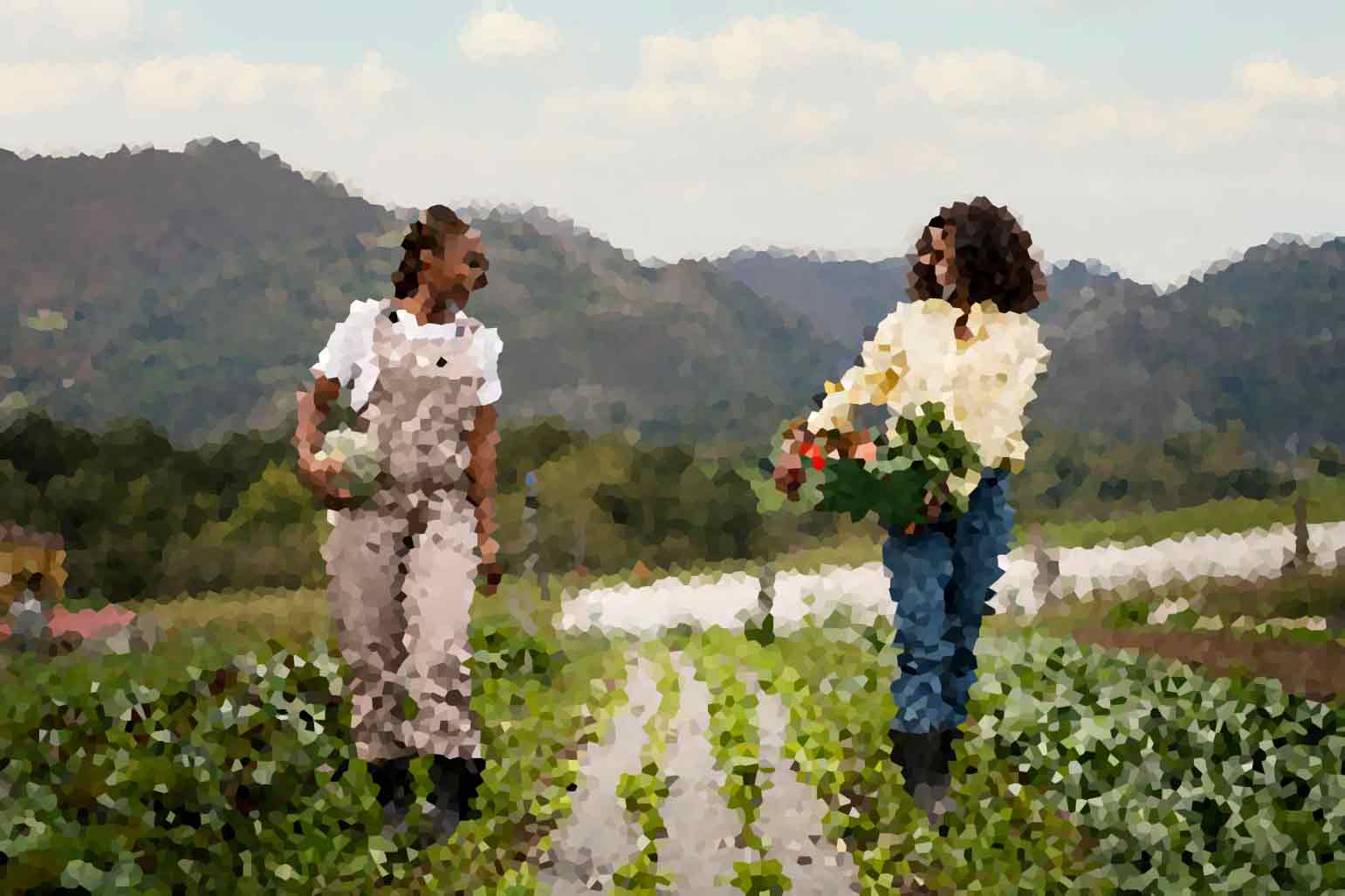 Exploring the Benefits of Renewable Energy Sources — Techparley Africa